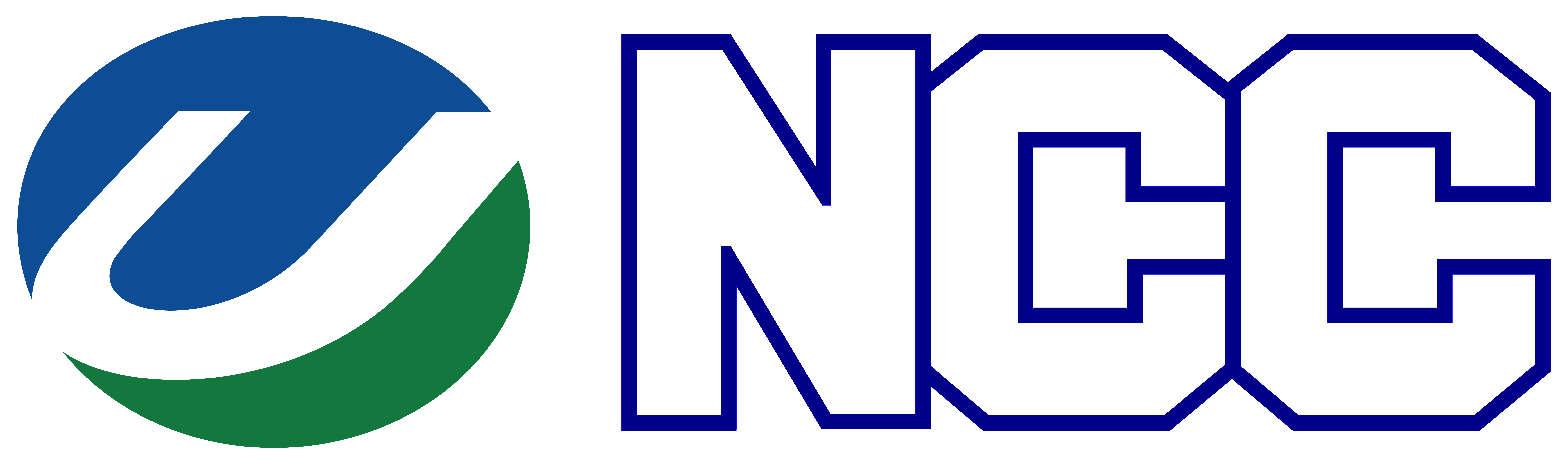 Nippon Cloud Co., Ltd